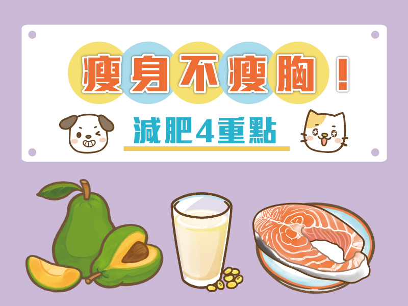 瘦身不瘦胸！減肥4重點